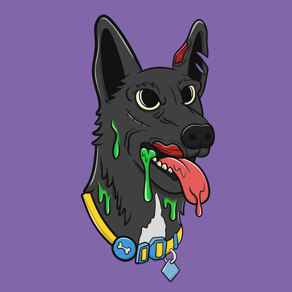 Jason Raimondi | Jason Raimondi